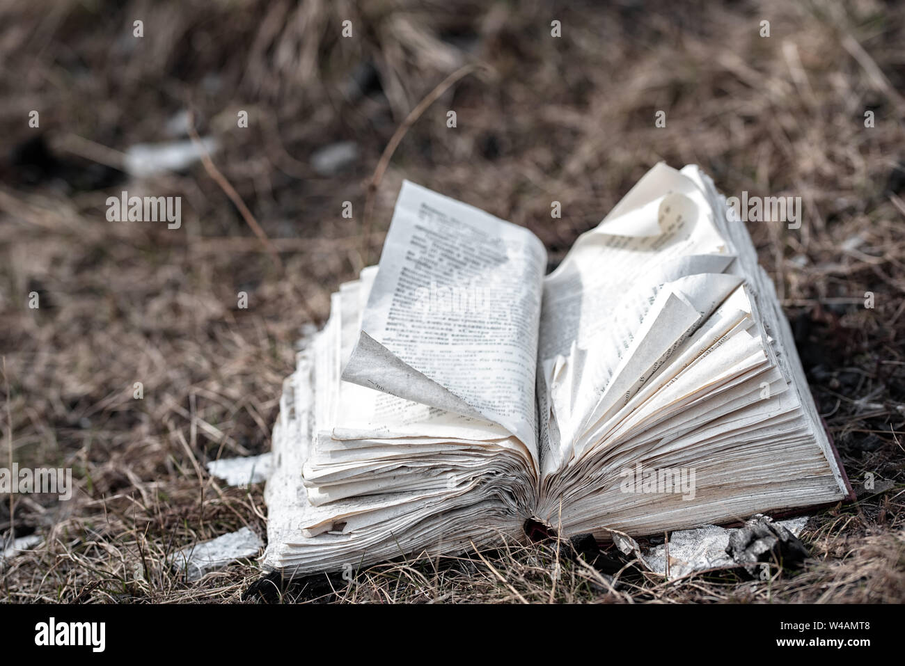 The crumpled dirty uncombed book lying on the earth Stock Photo - Alamy