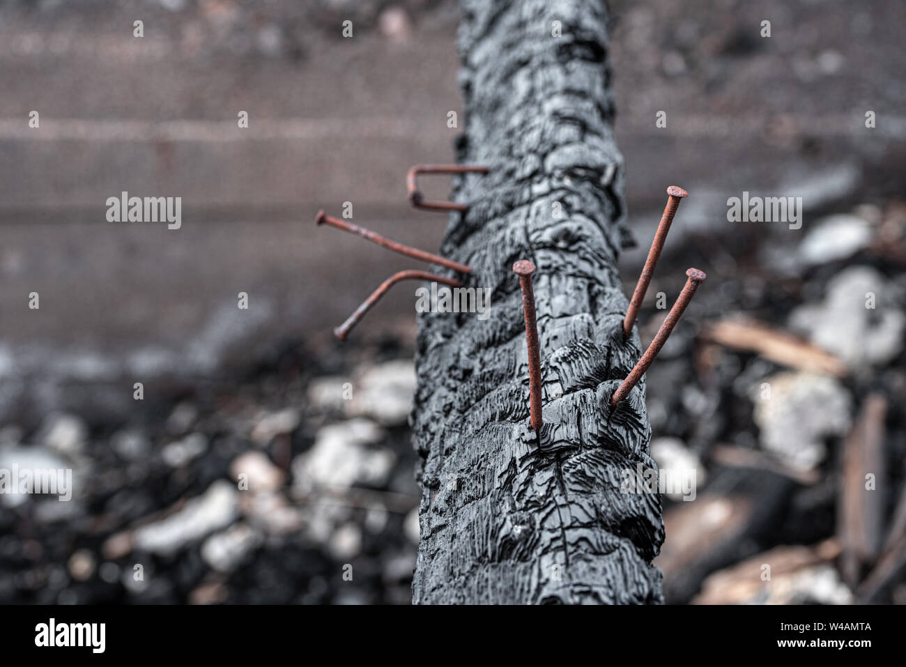 The black dirty charred log of the burned-down house with the sticking ...
