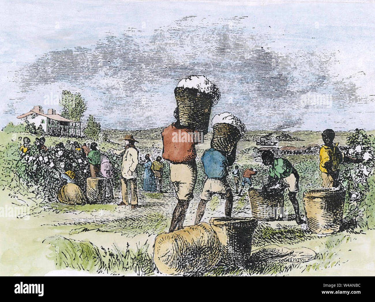 Slaves cotton hi-res stock photography and images - Alamy