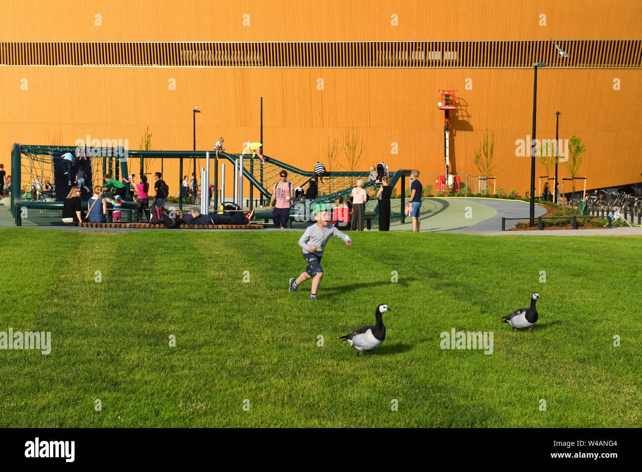 Helsinki Central Library Oodi. Little boy runs for Barnacle goose ...