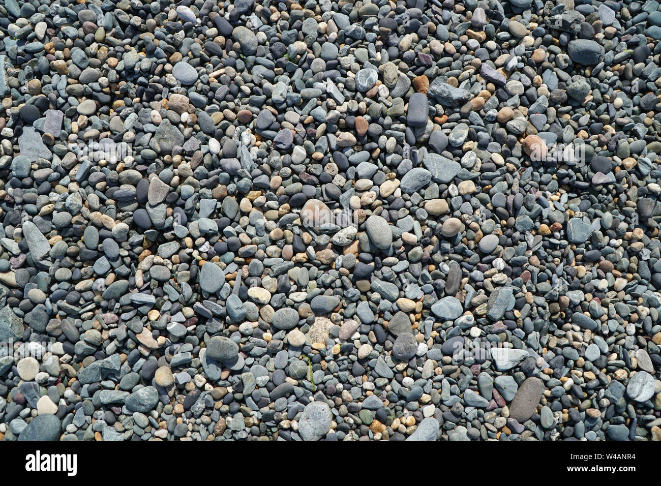 Close up of pebbels on a beach forming and abstract pattern Stock Photo ...