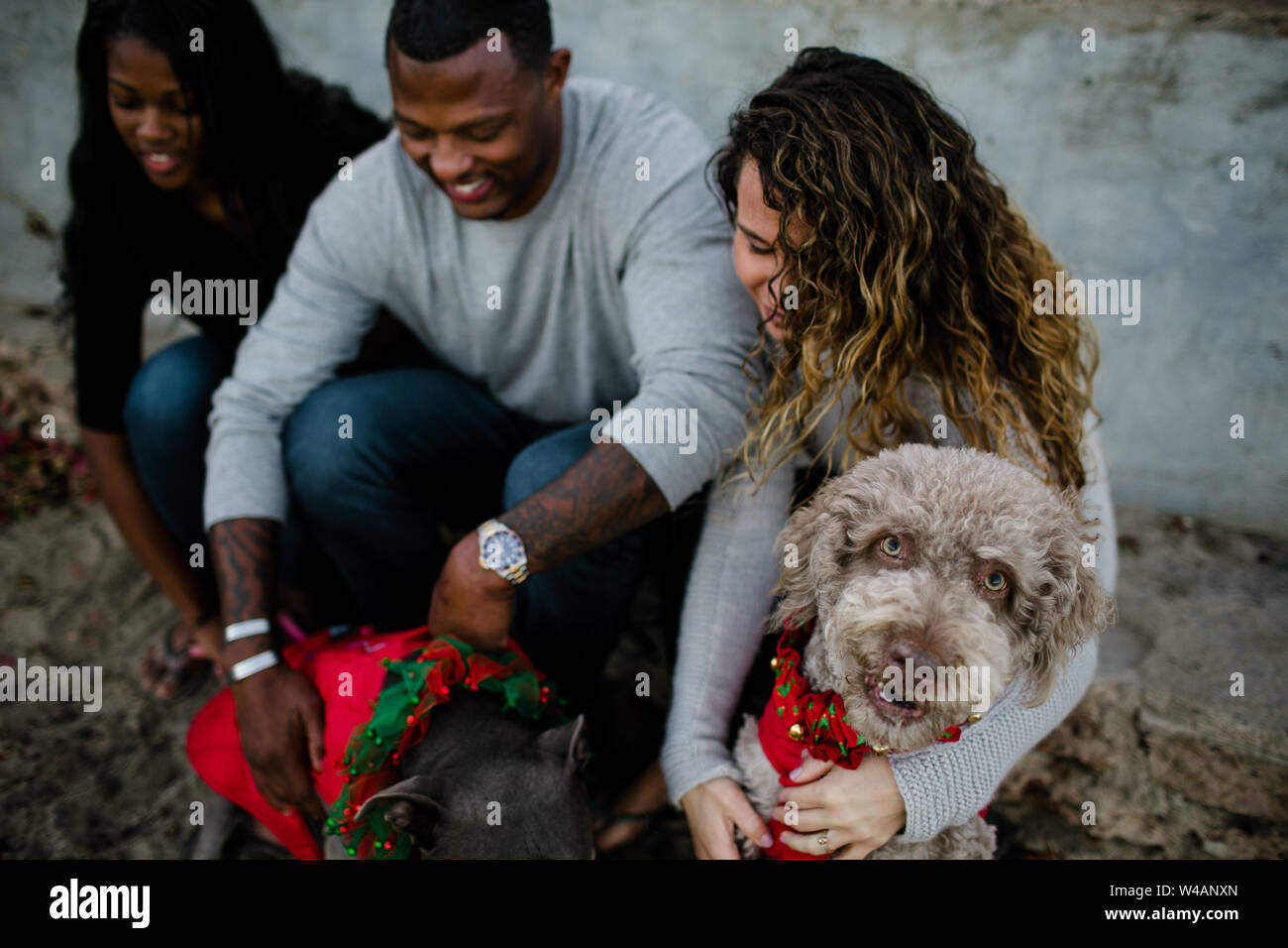 Blended family hugs dogs and smiles on beach at sunset Stock Photo - Alamy
