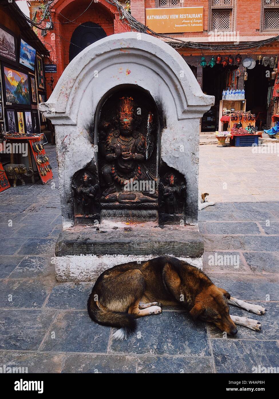 Sleeping dog in front hi-res stock photography and images - Alamy