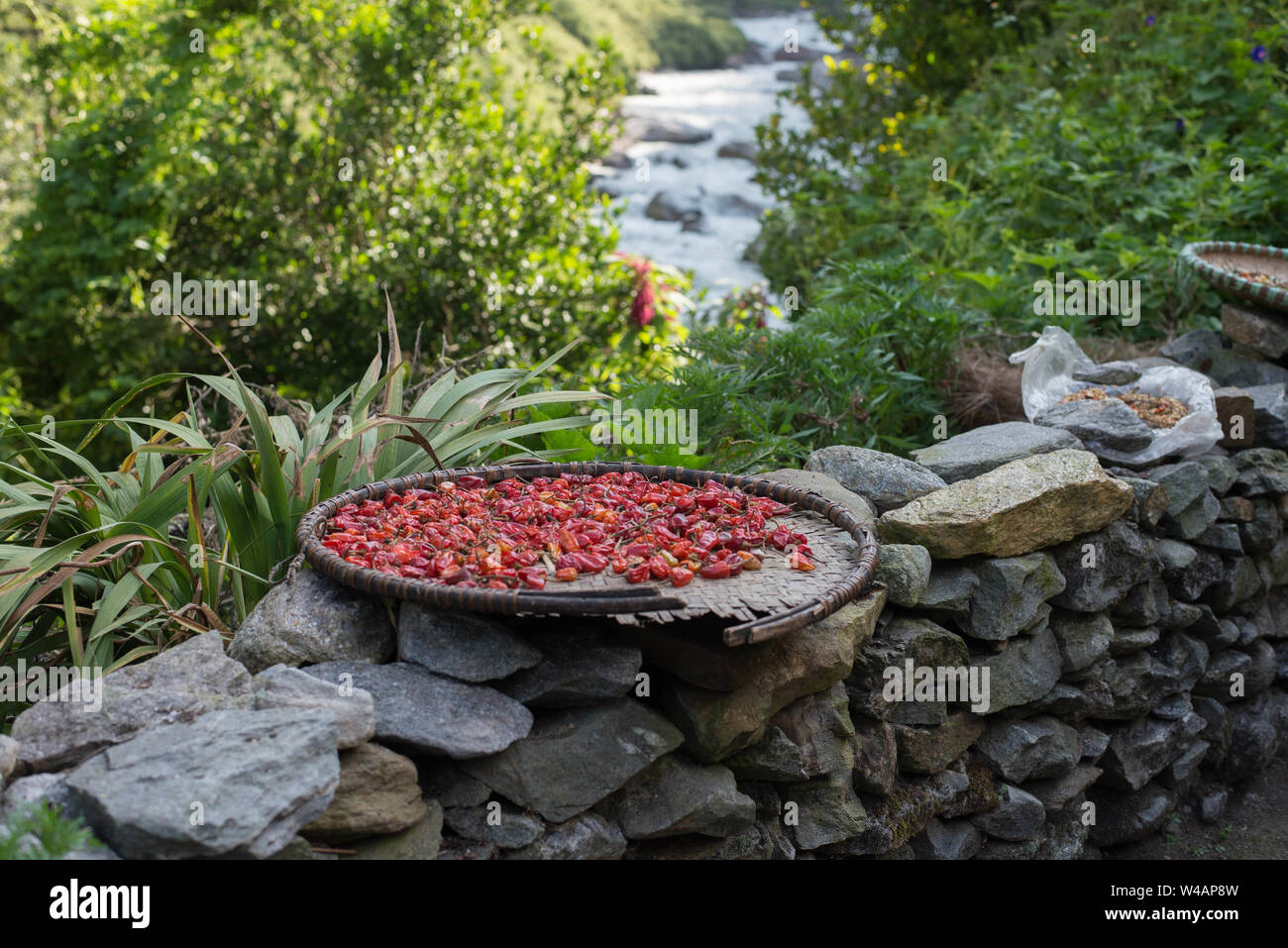 Red peppers being dried in sun with river in background in Asia Stock ...