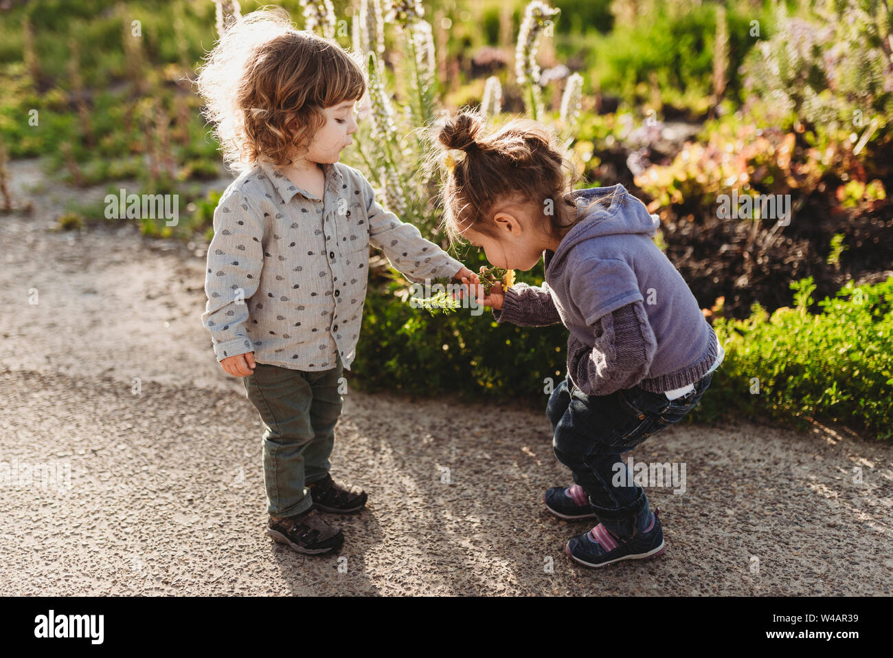 2 3 boys hi-res stock photography and images - Alamy