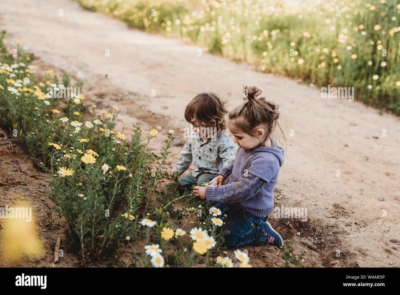 Little children playing in a flower field Stock Photo - Alamy