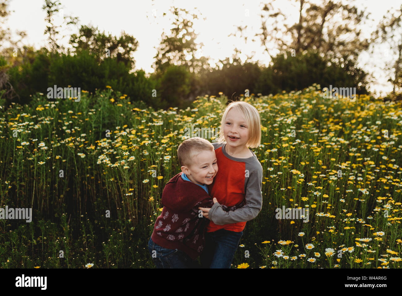 Flowers hugging human hi-res stock photography and images - Alamy
