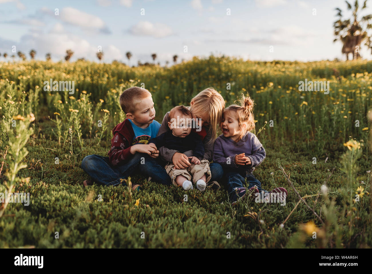 Four siblings smiling at each other in field of flowers with blue sky ...