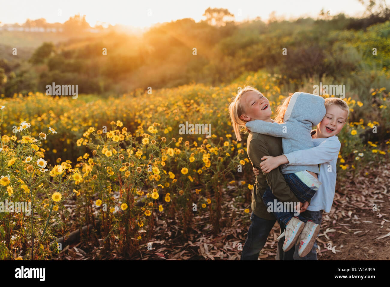 Siblings hugging at sunset in field of flowers Stock Photo - Alamy