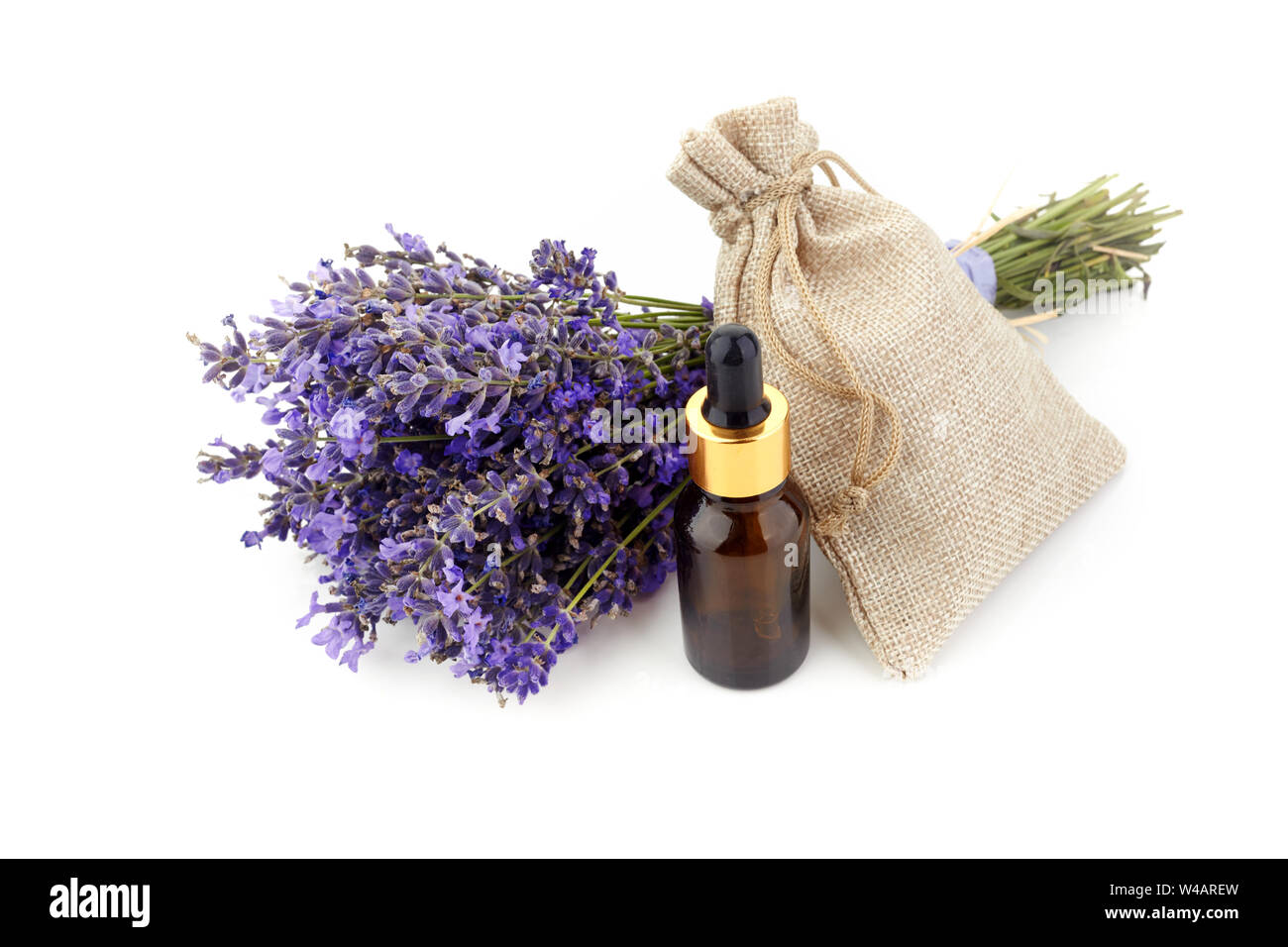 Bottles with aroma oil and lavender flowers isolated on white Stock ...