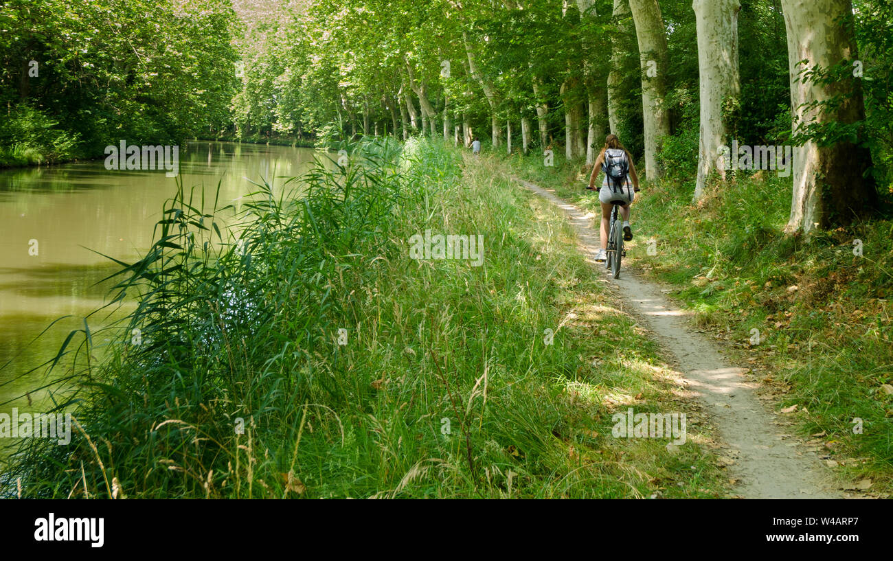 Cyclist on the towpath of the Canal du Midi, France, cycling between ...