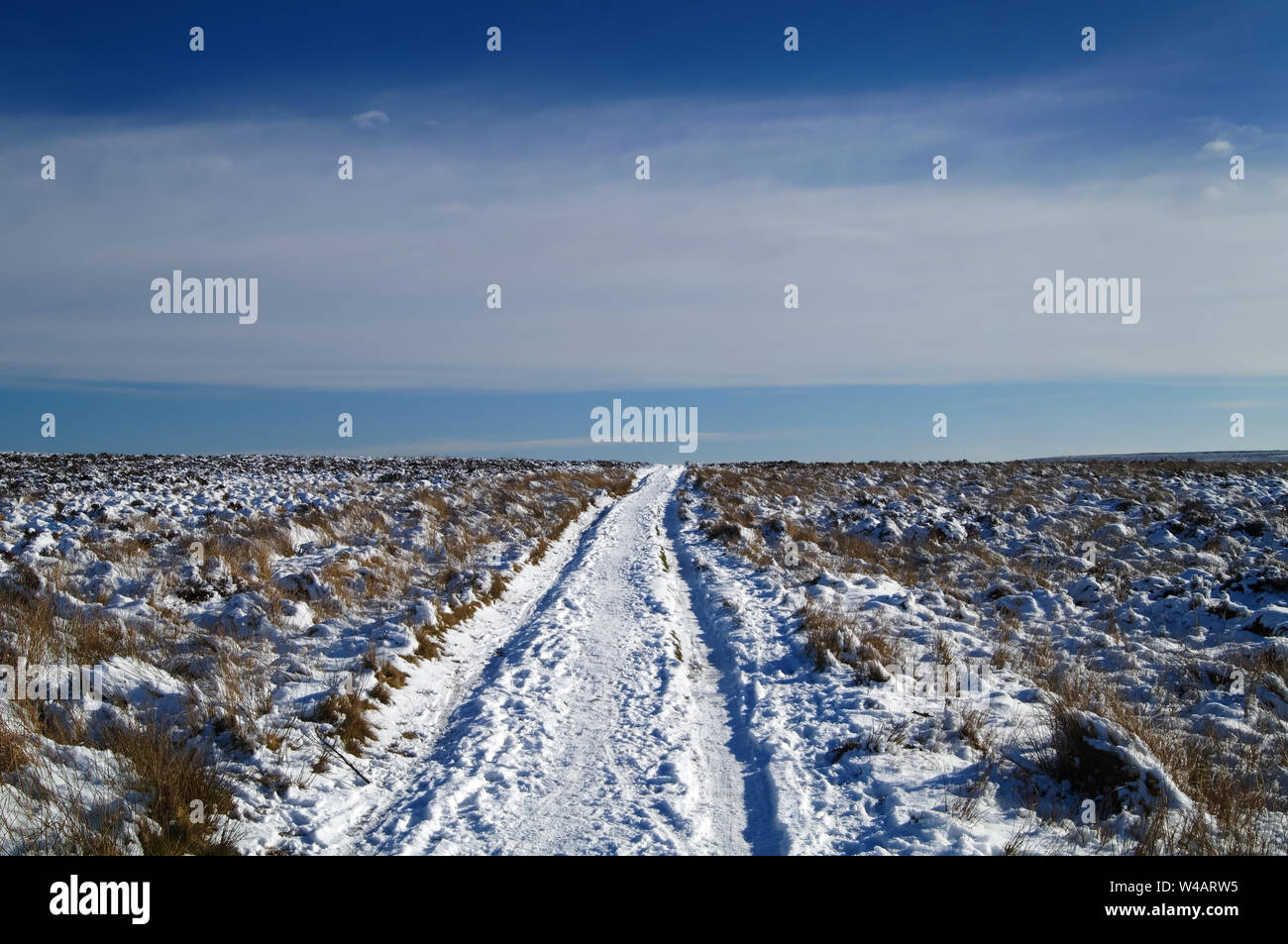 Moss Road High Resolution Stock Photography and Images - Alamy