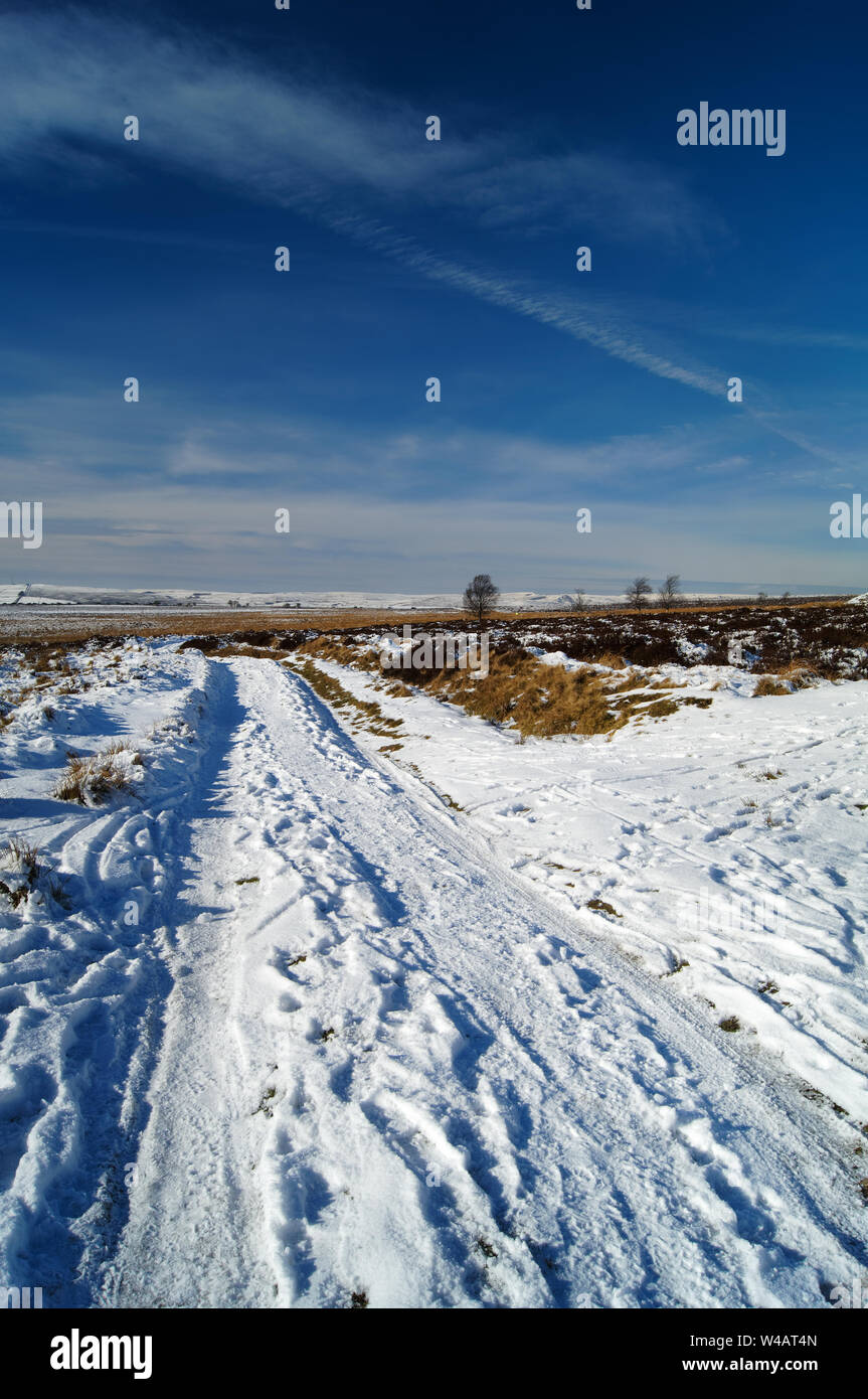 UK,Derbyshire,Peak District,Totley Moss,Moss Road Looking West towards ...