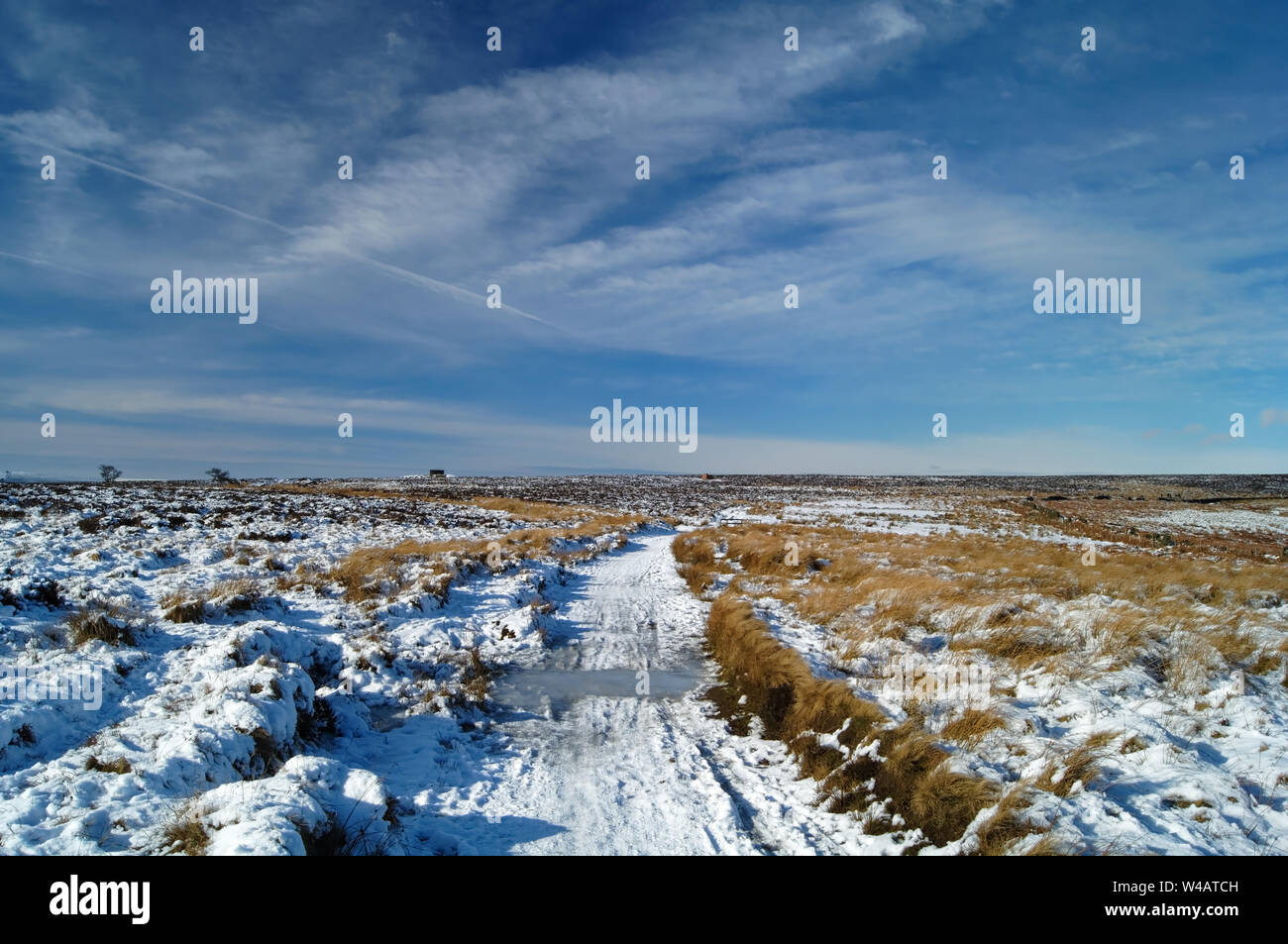 UK,Derbyshire,Peak District,Totley Moss,Moss Road Looking North West ...