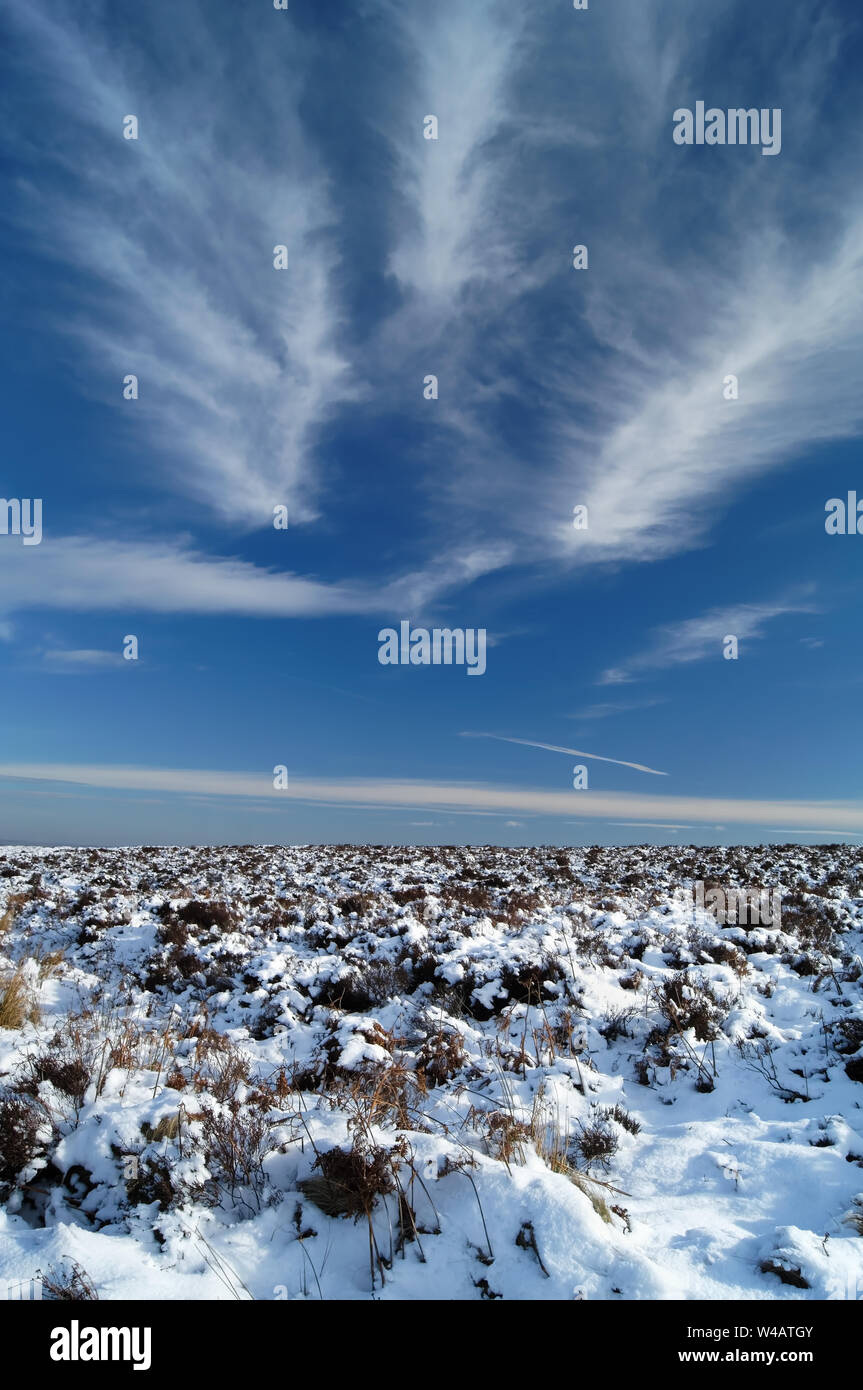 Totley hi-res stock photography and images - Alamy