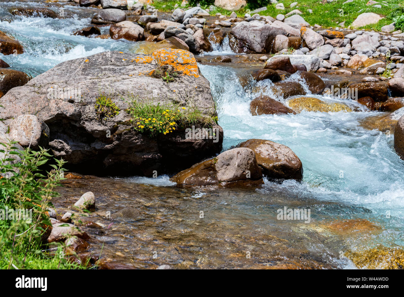 Beautiful peaceful view of water in mountain river. Slow shutter speed ...