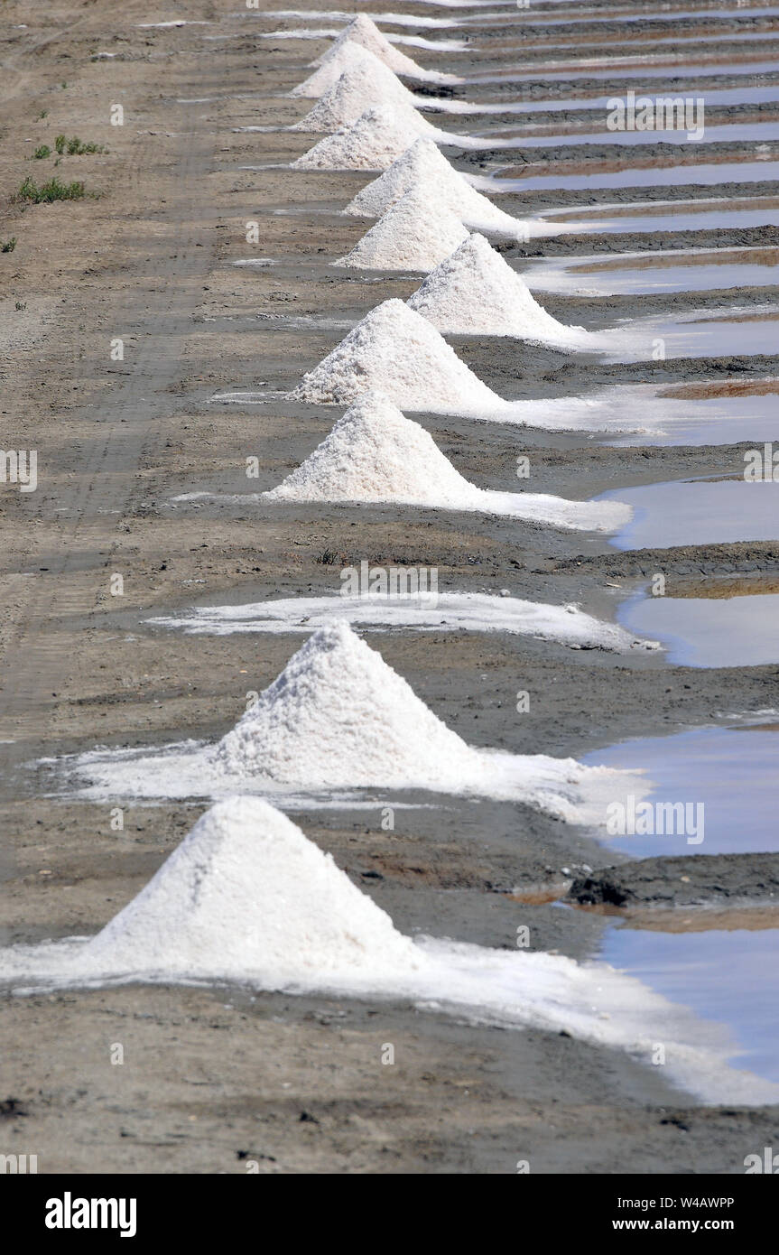 Salt pond, Île de Ré, Island of Re, France, Europe Stock Photo - Alamy