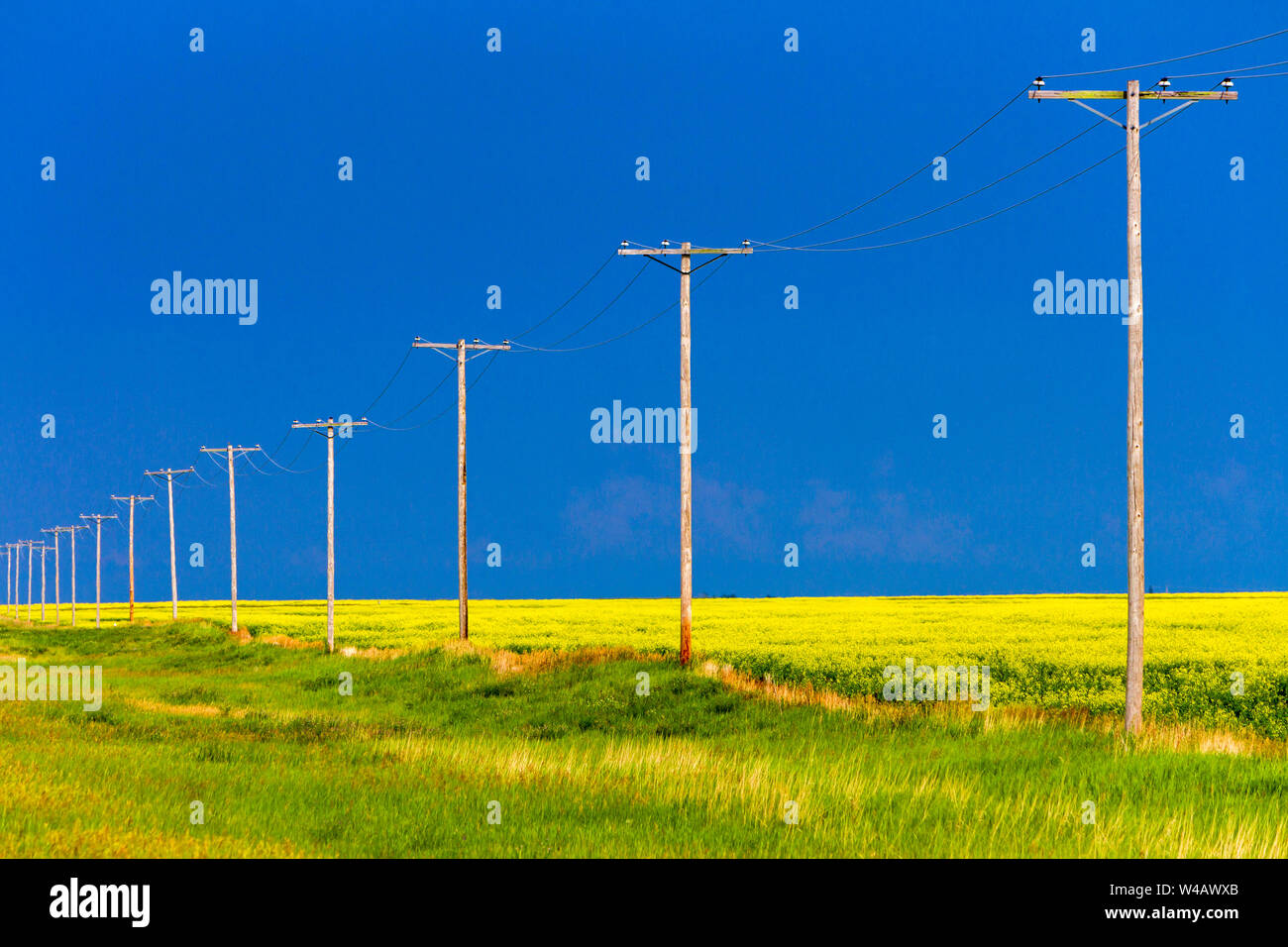 Electrical pole in field hi-res stock photography and images - Alamy