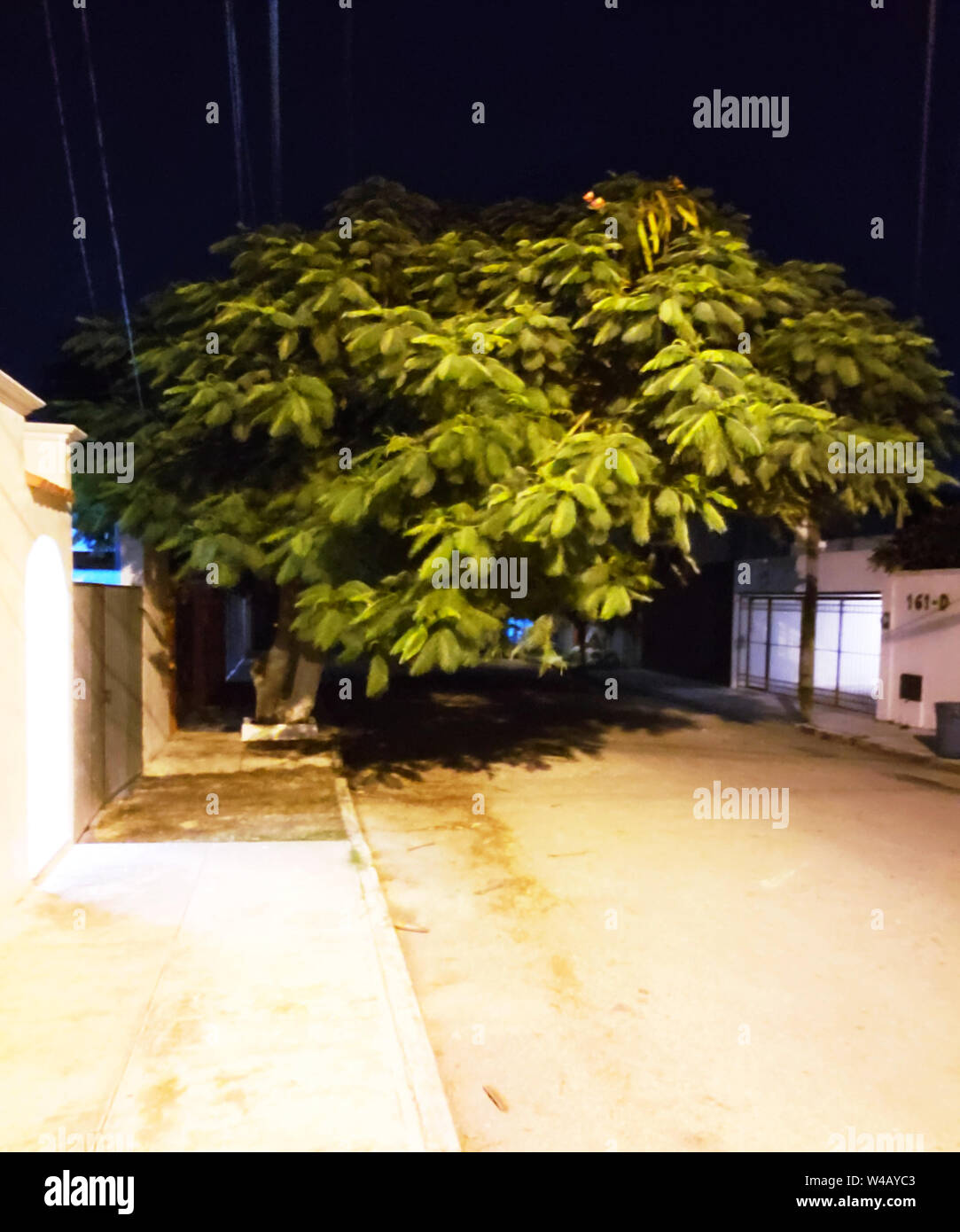 Shadowing hi-res stock photography and images - Alamy