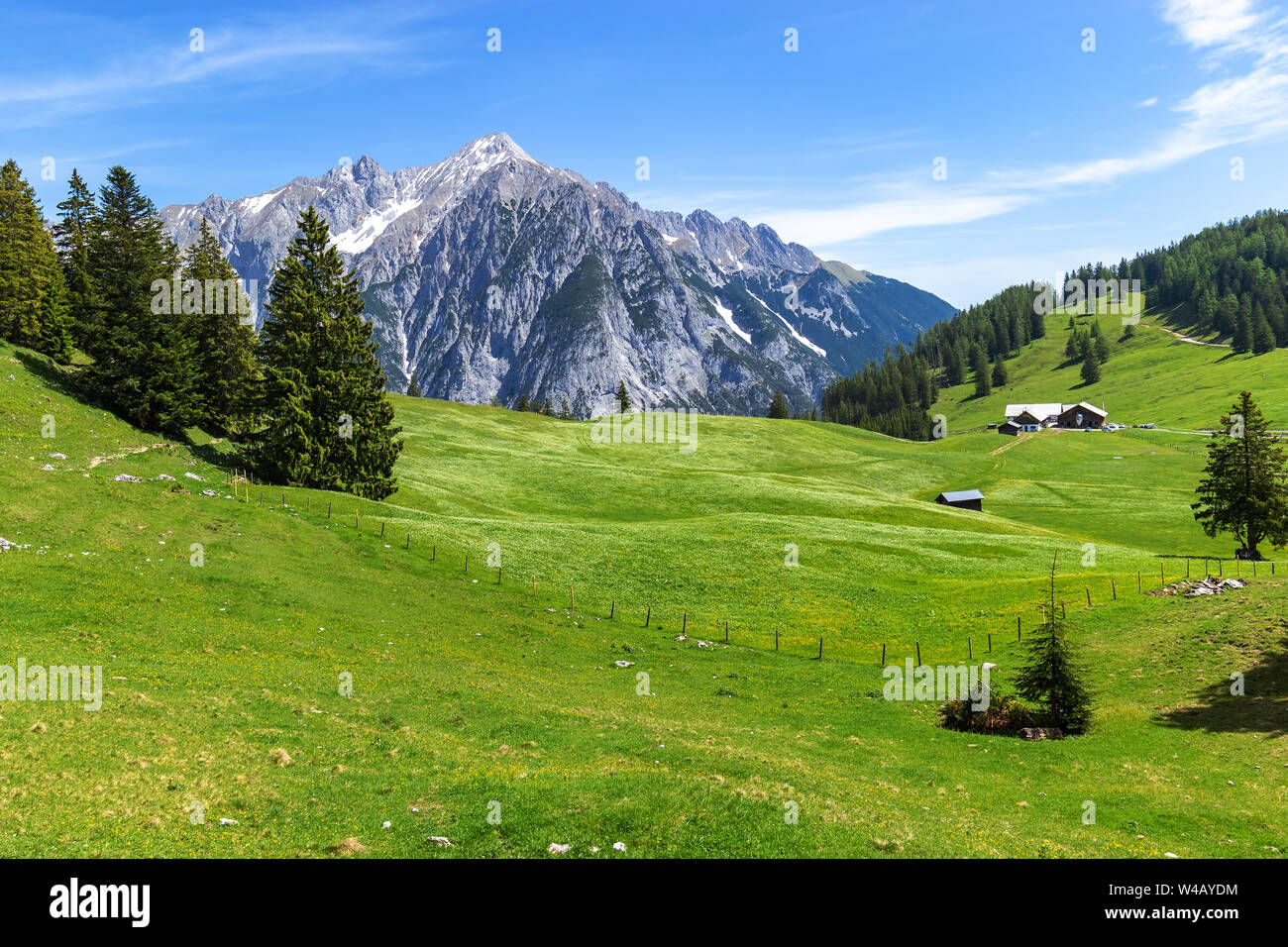 Austria tyrol meadow mountains flowers hi-res stock photography and ...