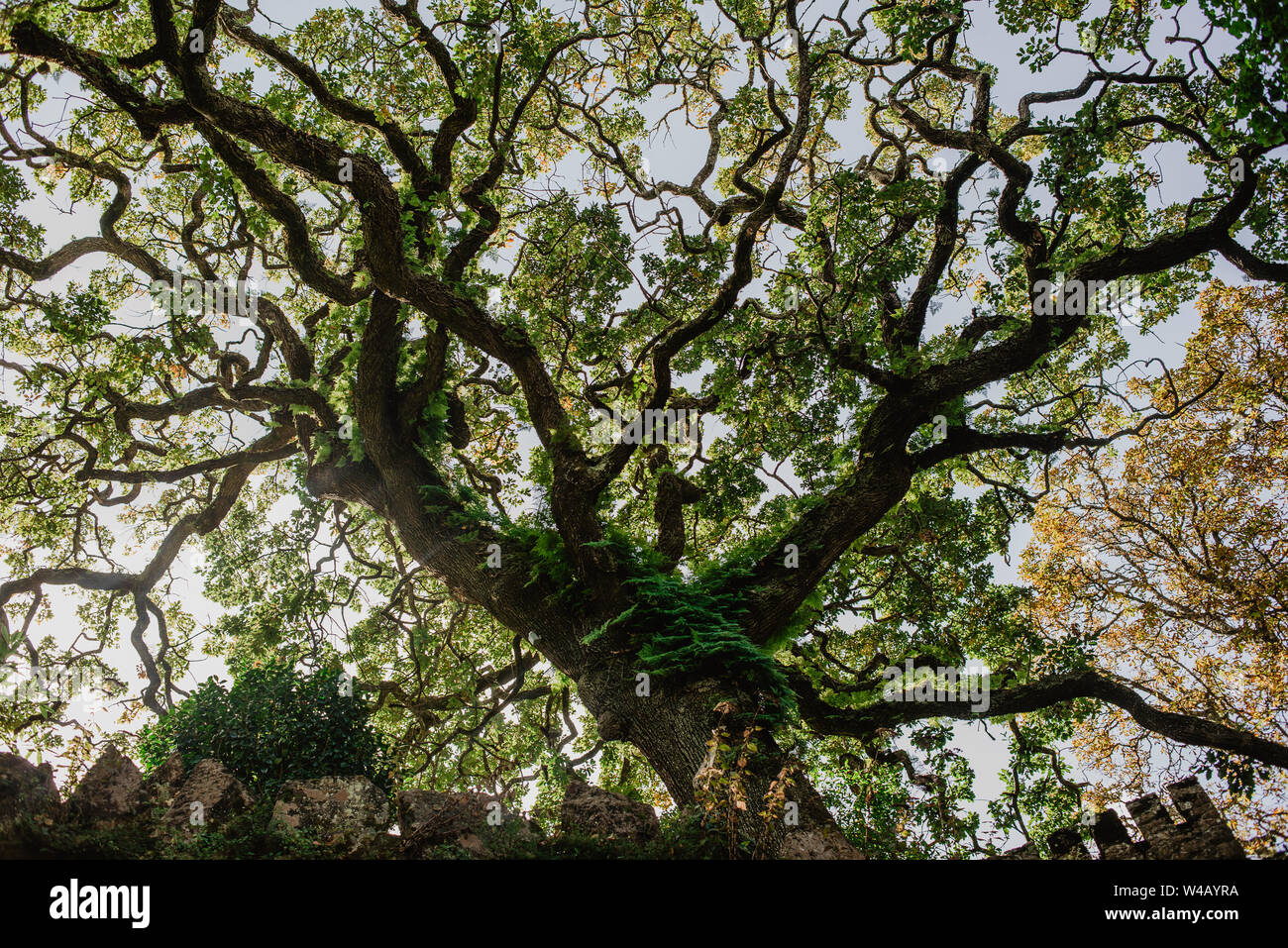 Sintra below hi-res stock photography and images - Alamy