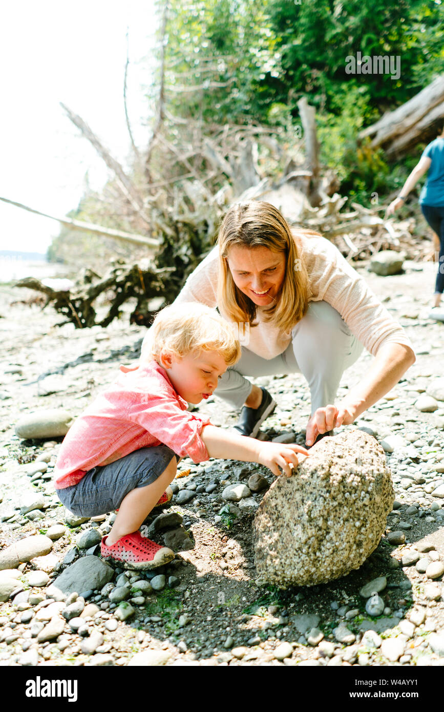 Soon came under hi-res stock photography and images - Alamy