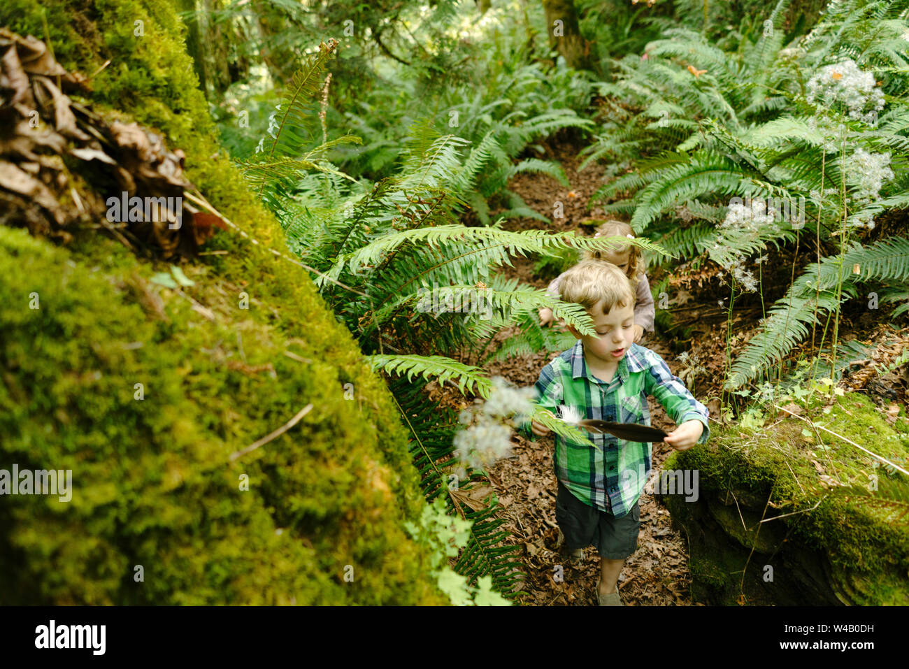 View from above of a young boy hiking through the trees with a feather ...