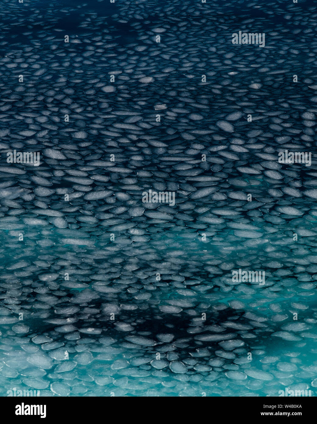 Ice forms along the Maine coast as temps drop below 0Âº Stock Photo - Alamy