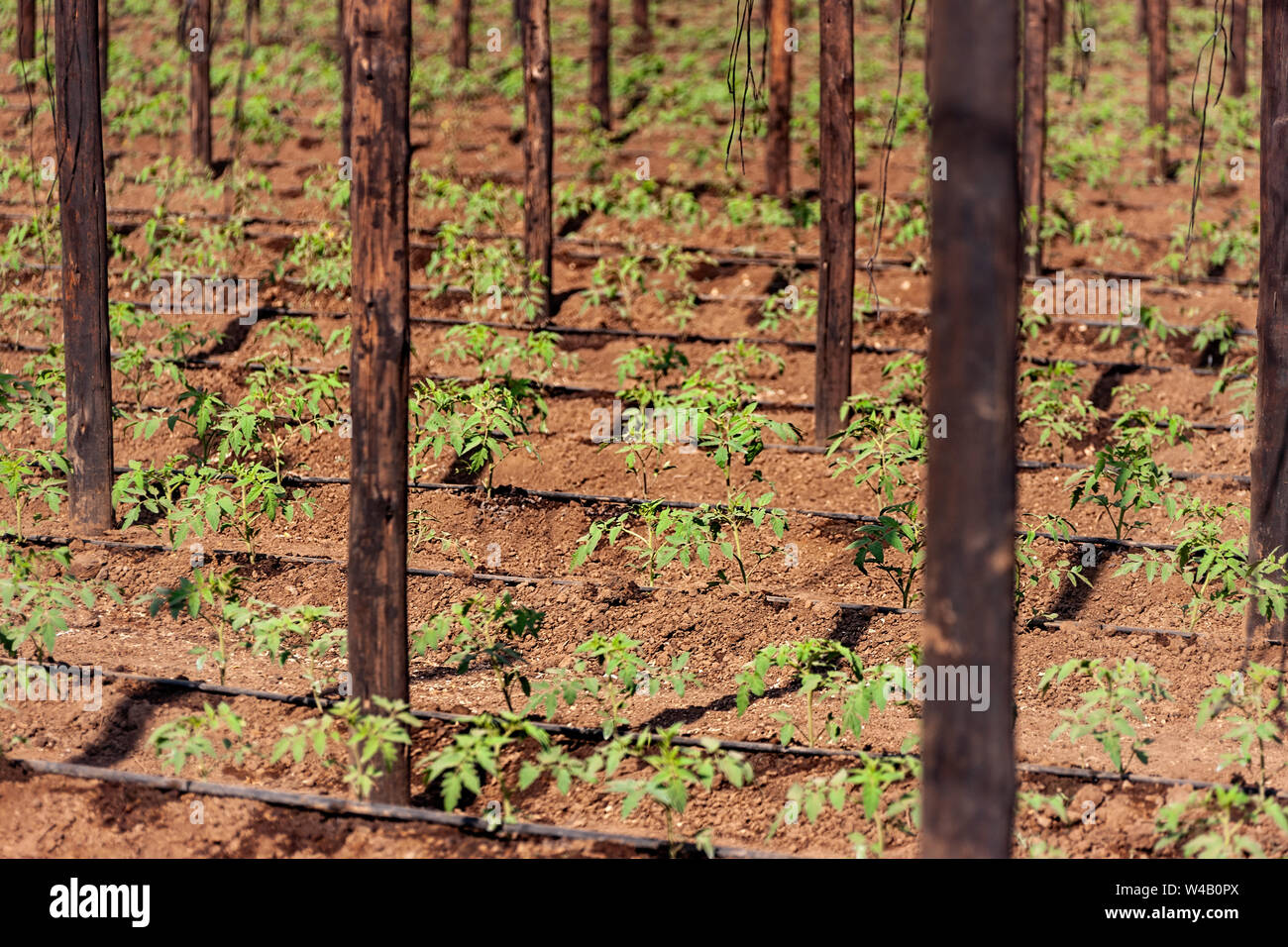 Alignment poles hi-res stock photography and images - Alamy