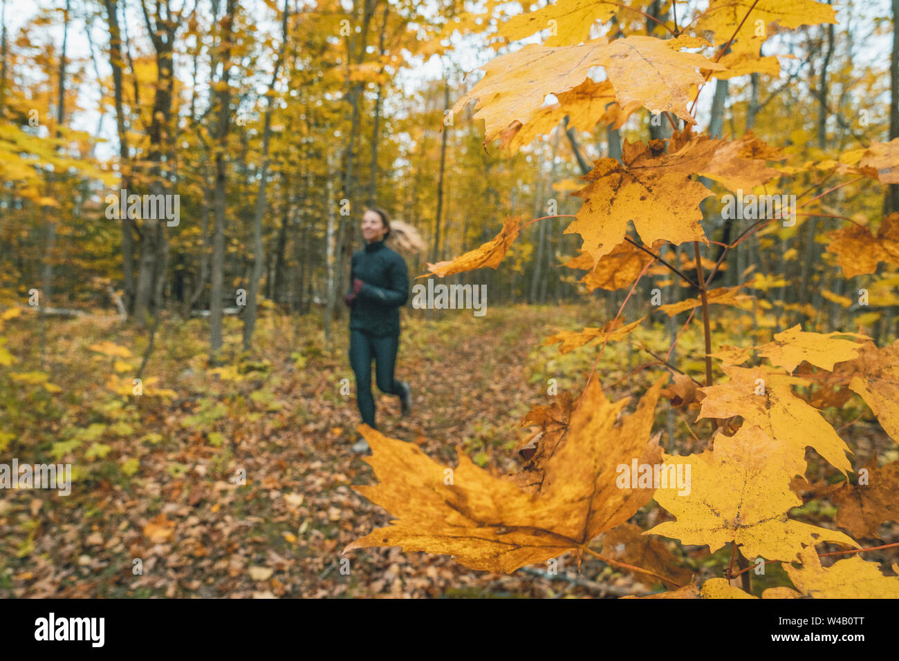 Autumn Trail Running Stock Photo - Alamy