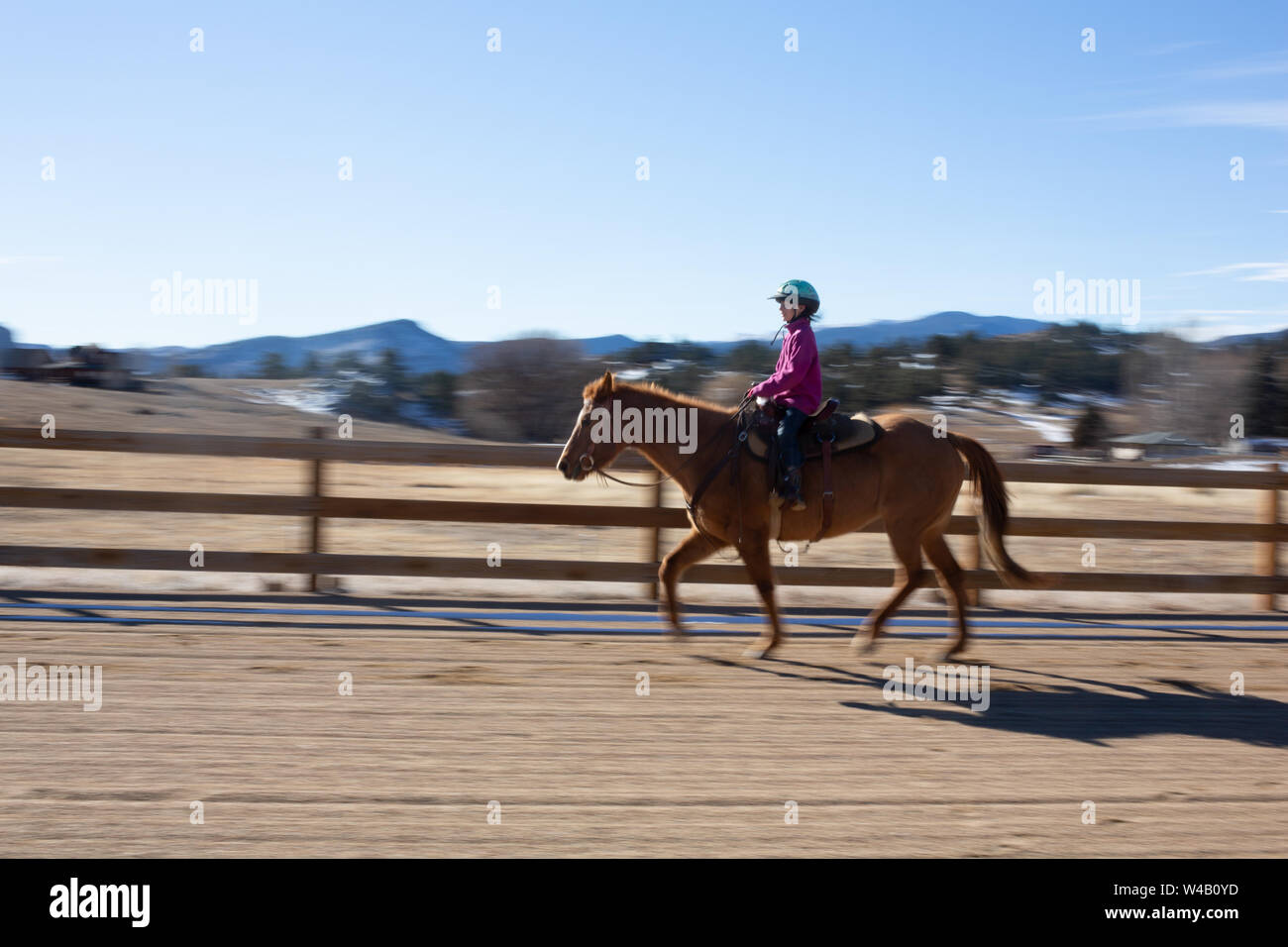 Cantering horse hi-res stock photography and images - Alamy