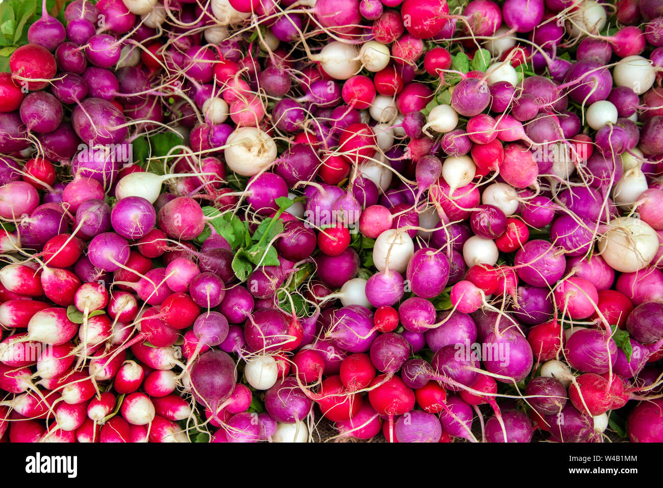 Farmers radish hi-res stock photography and images - Alamy