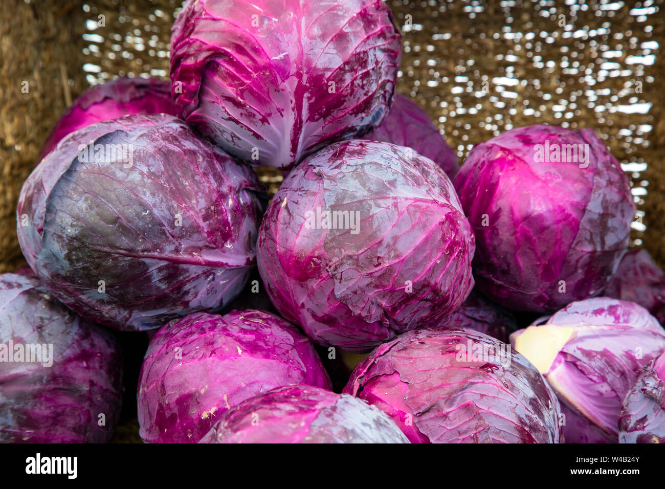 Cabbage produce hi-res stock photography and images - Alamy