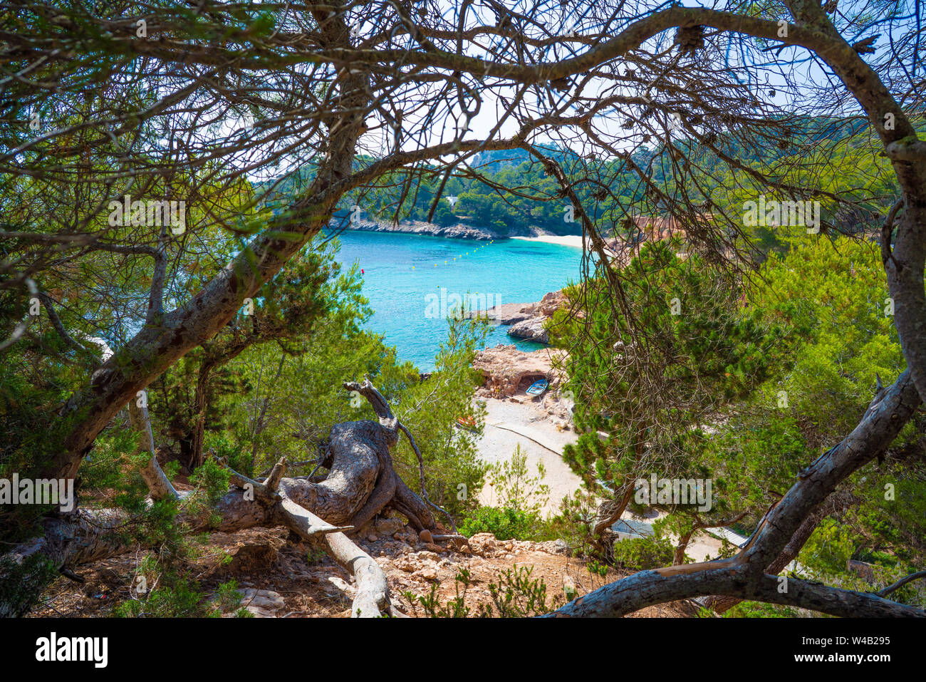Ibiza Cala Salada and Saladeta in Balearic Islands of spain Stock Photo ...