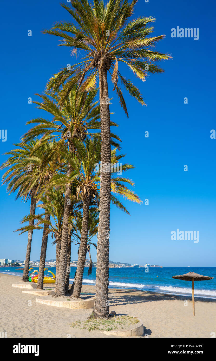 Ibiza Playa d En Bossa beach in Sant Josep of Balearic Islands Stock ...