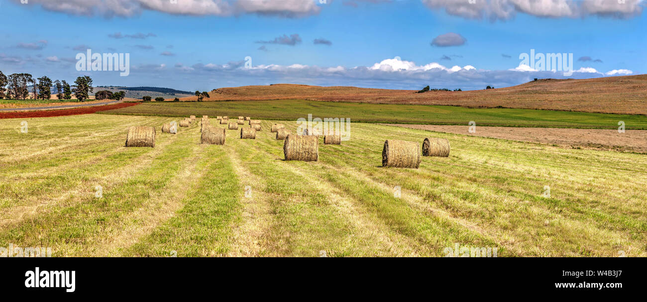 Baleage hi-res stock photography and images - Alamy