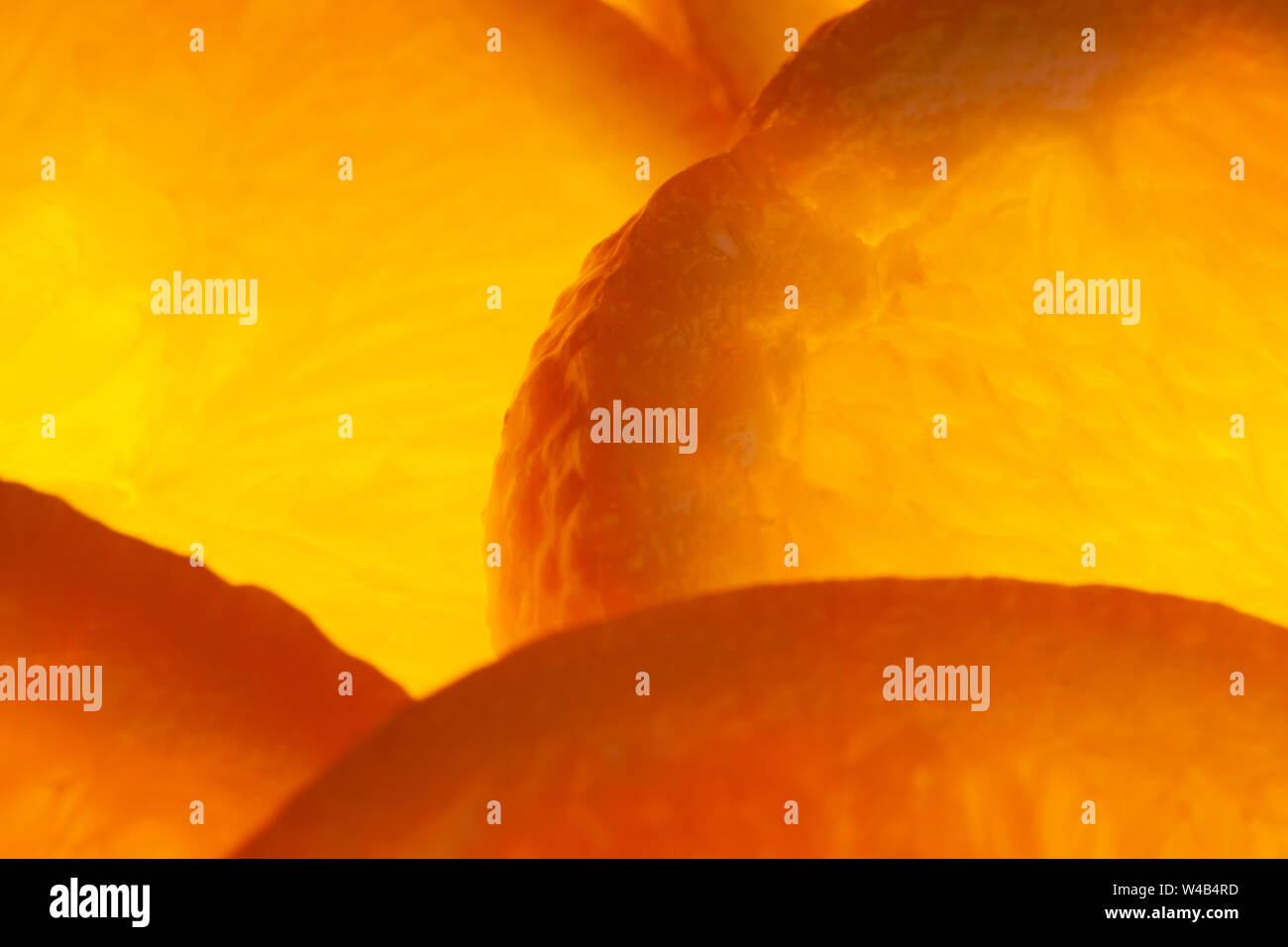 Back and front lit slices of oranges that would make an excellent ...