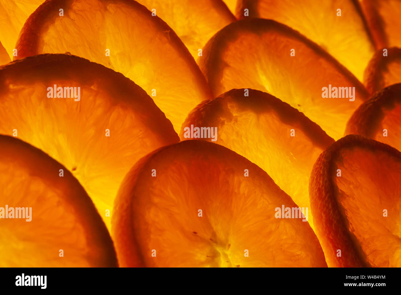 Back lit slices of oranges that would make an excellent background ...