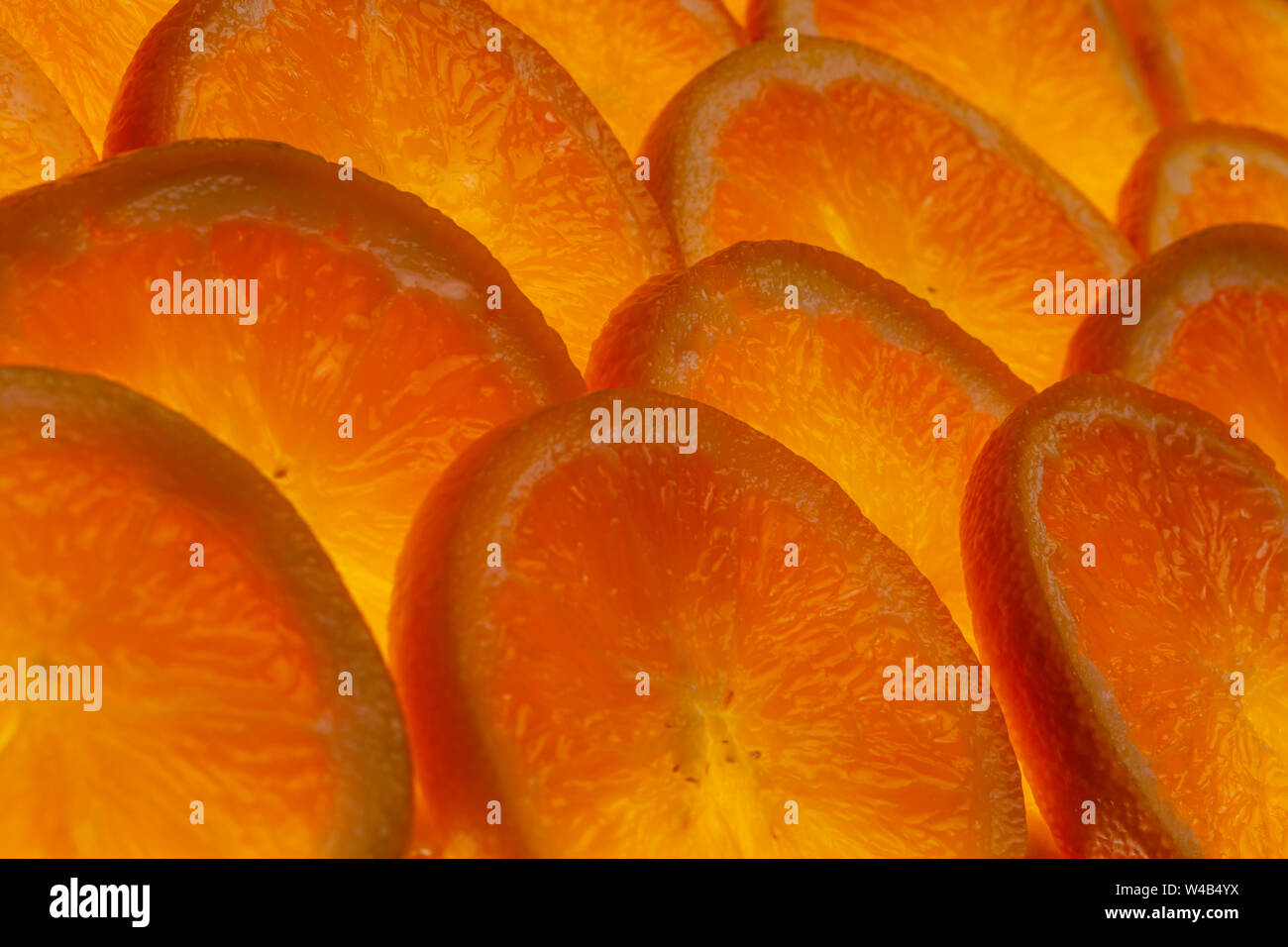 Back and front lit slices of oranges that would make an excellent ...