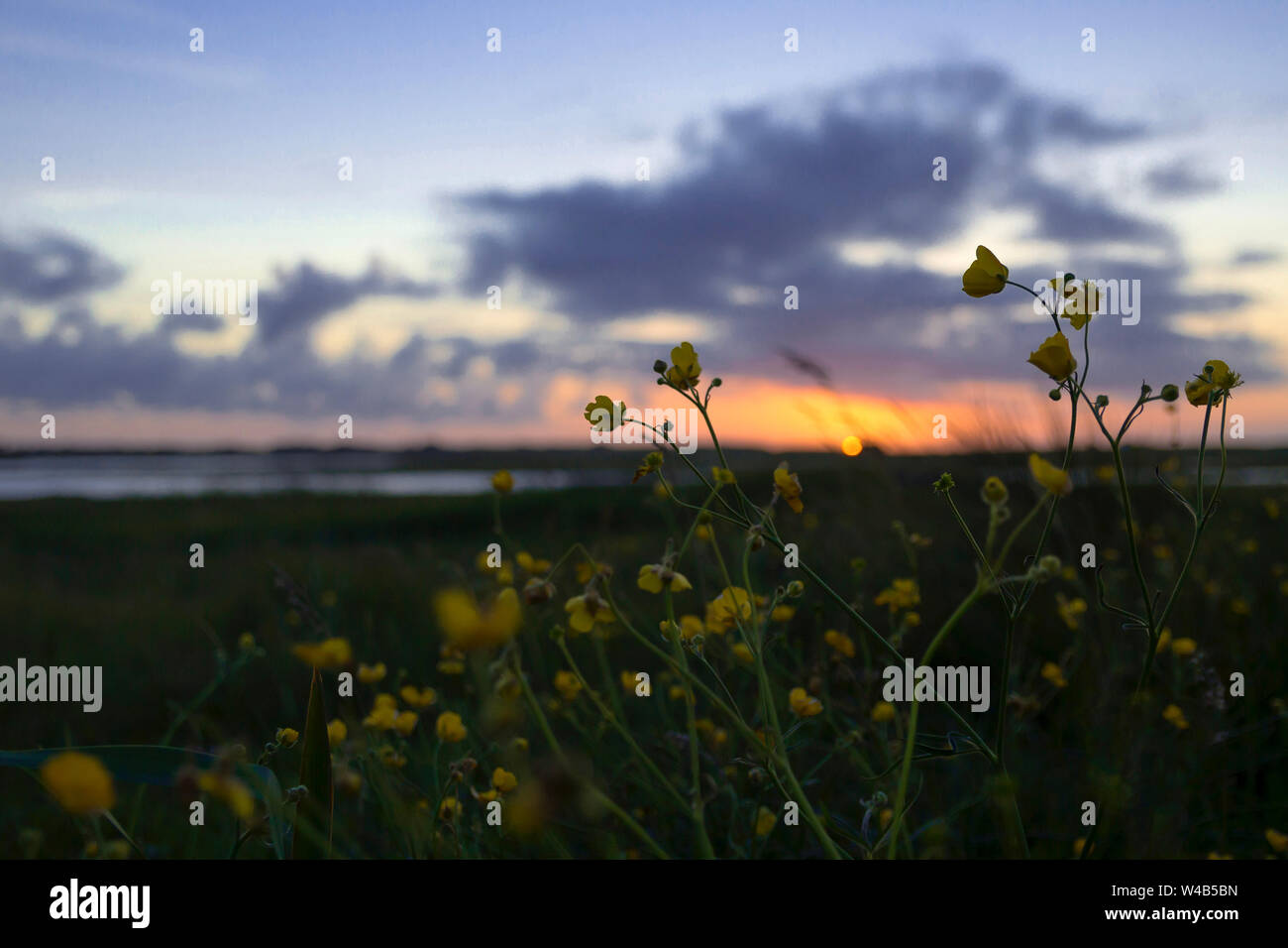 Benbecula hi-res stock photography and images - Alamy