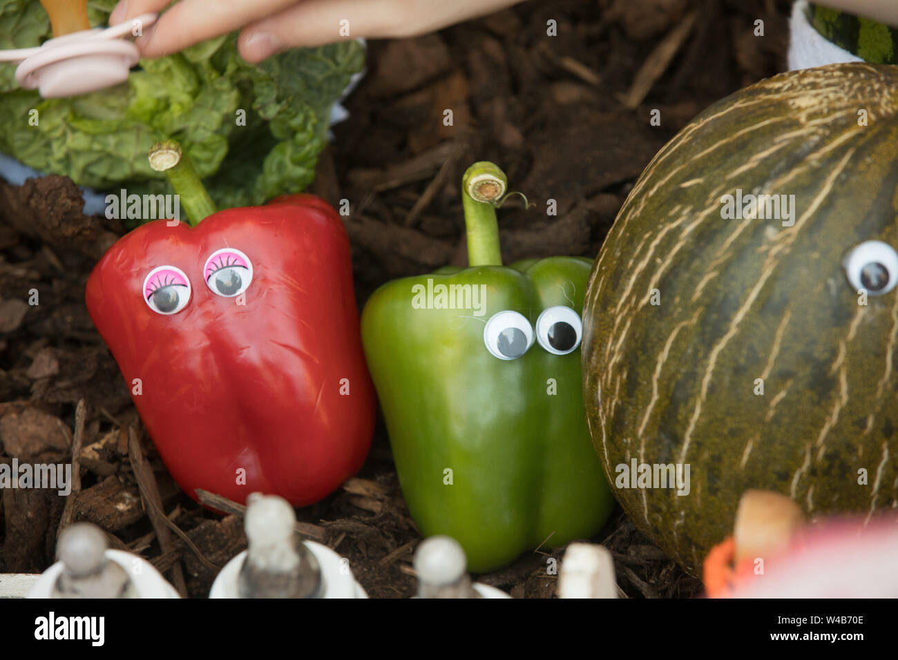 Baby vegetables hi-res stock photography and images - Alamy