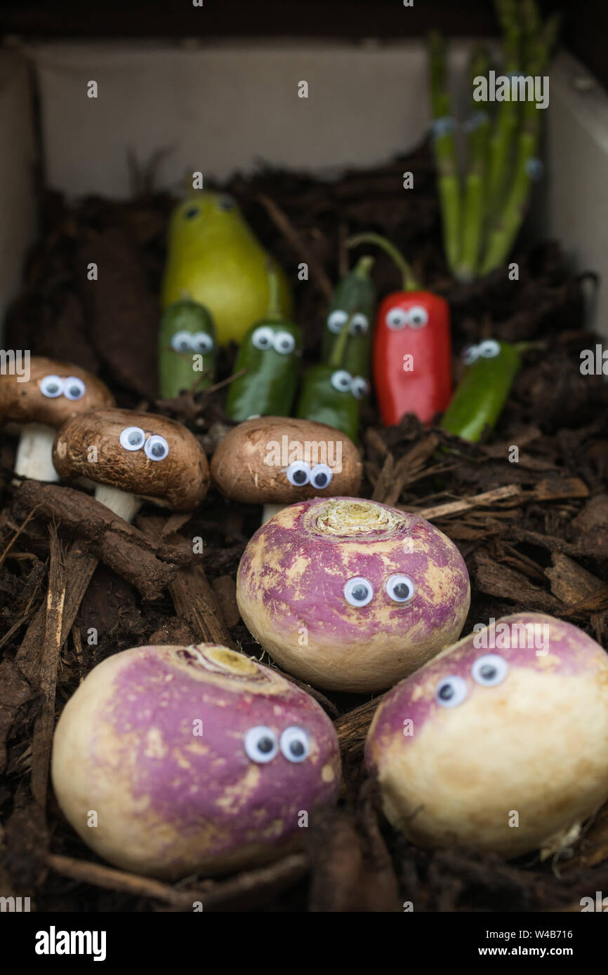 Baby vegetables hi-res stock photography and images - Alamy