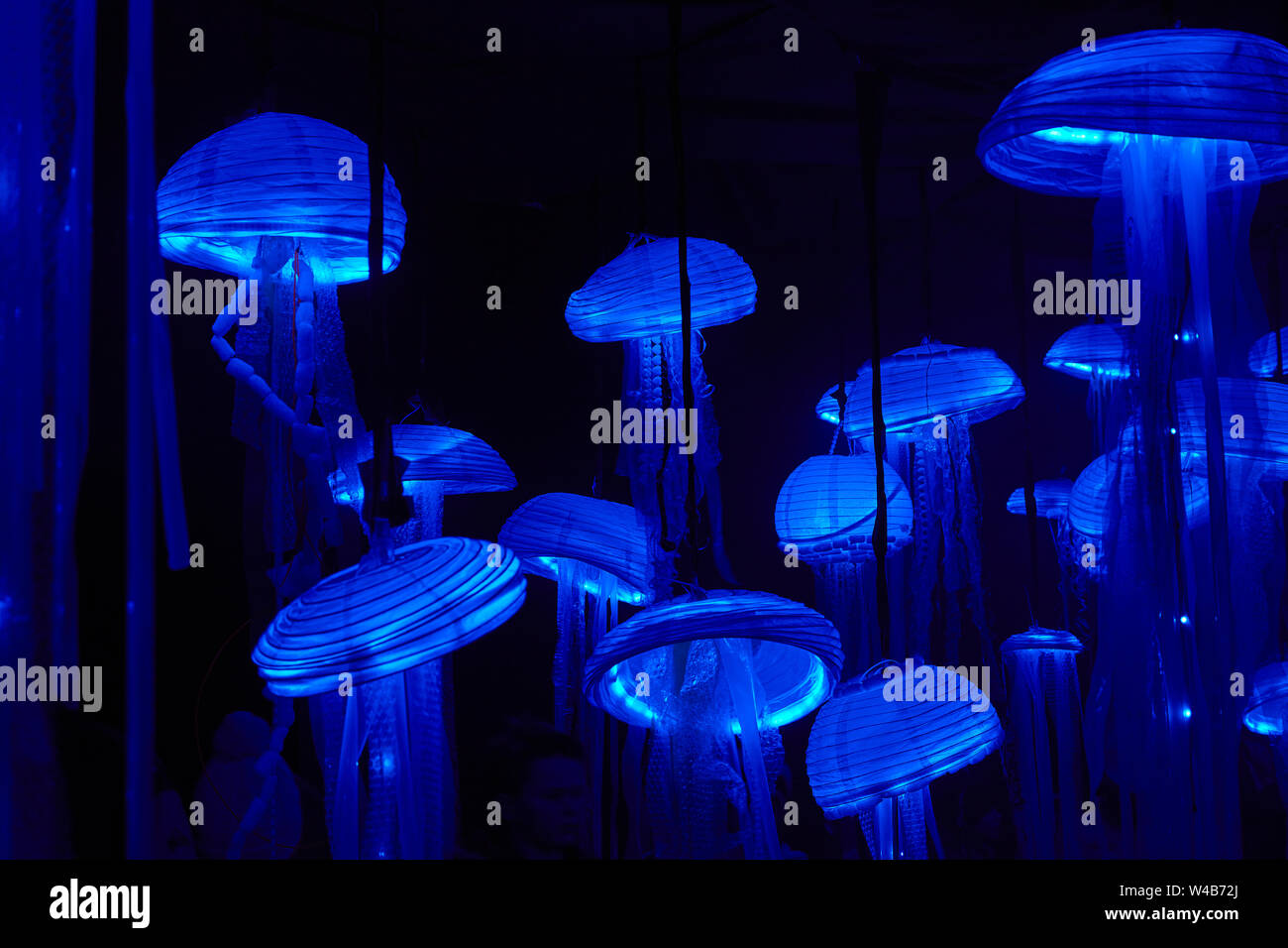 Shotover primary school hi-res stock photography and images - Alamy