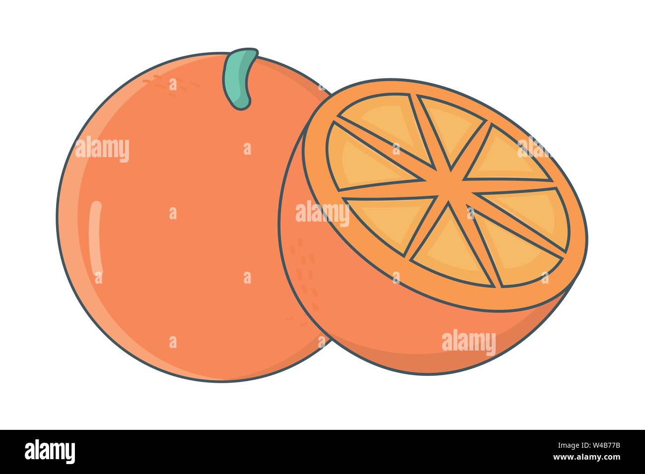Oranges group Stock Vector Images - Alamy