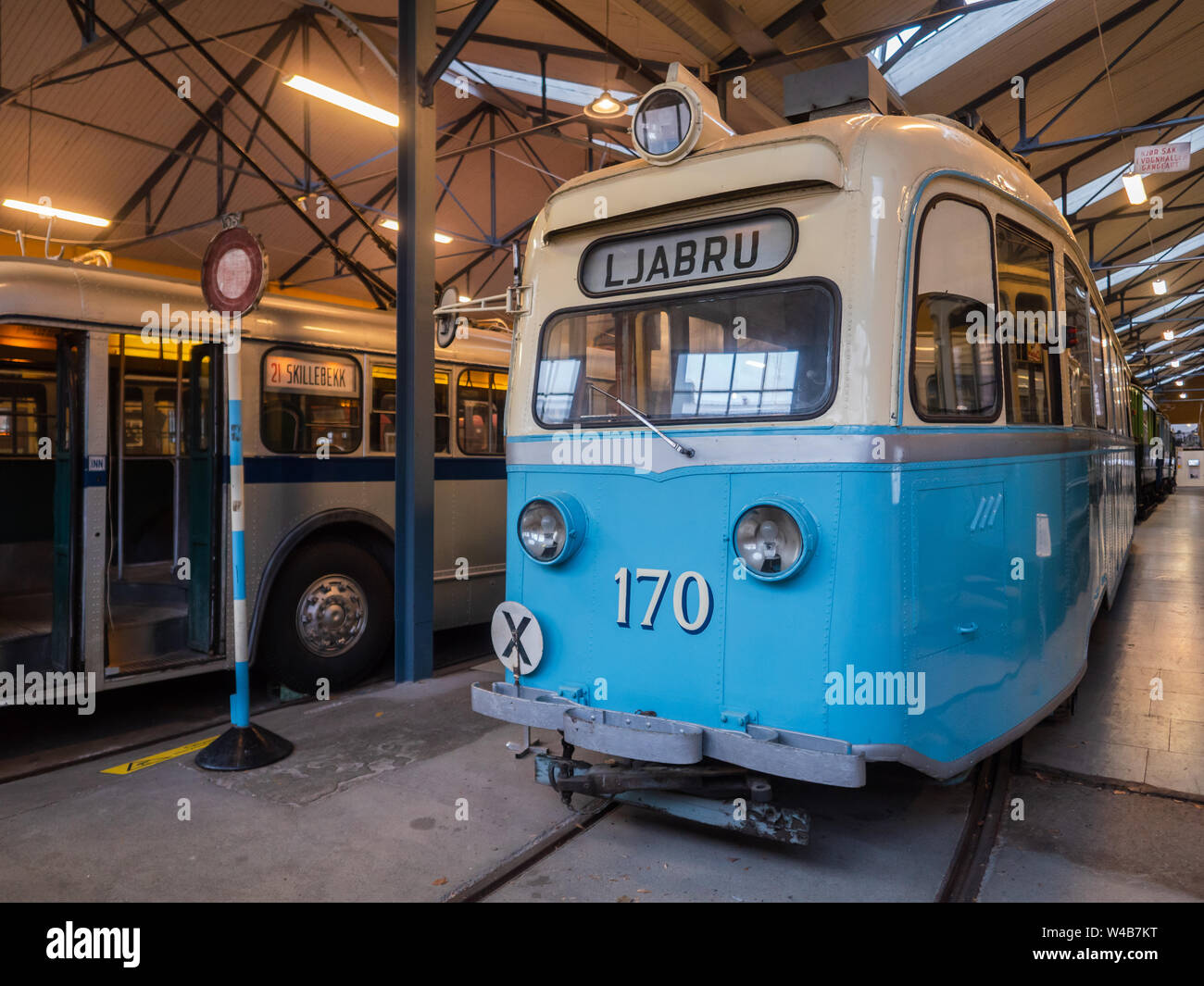 Gullfisk hi-res stock photography and images - Alamy