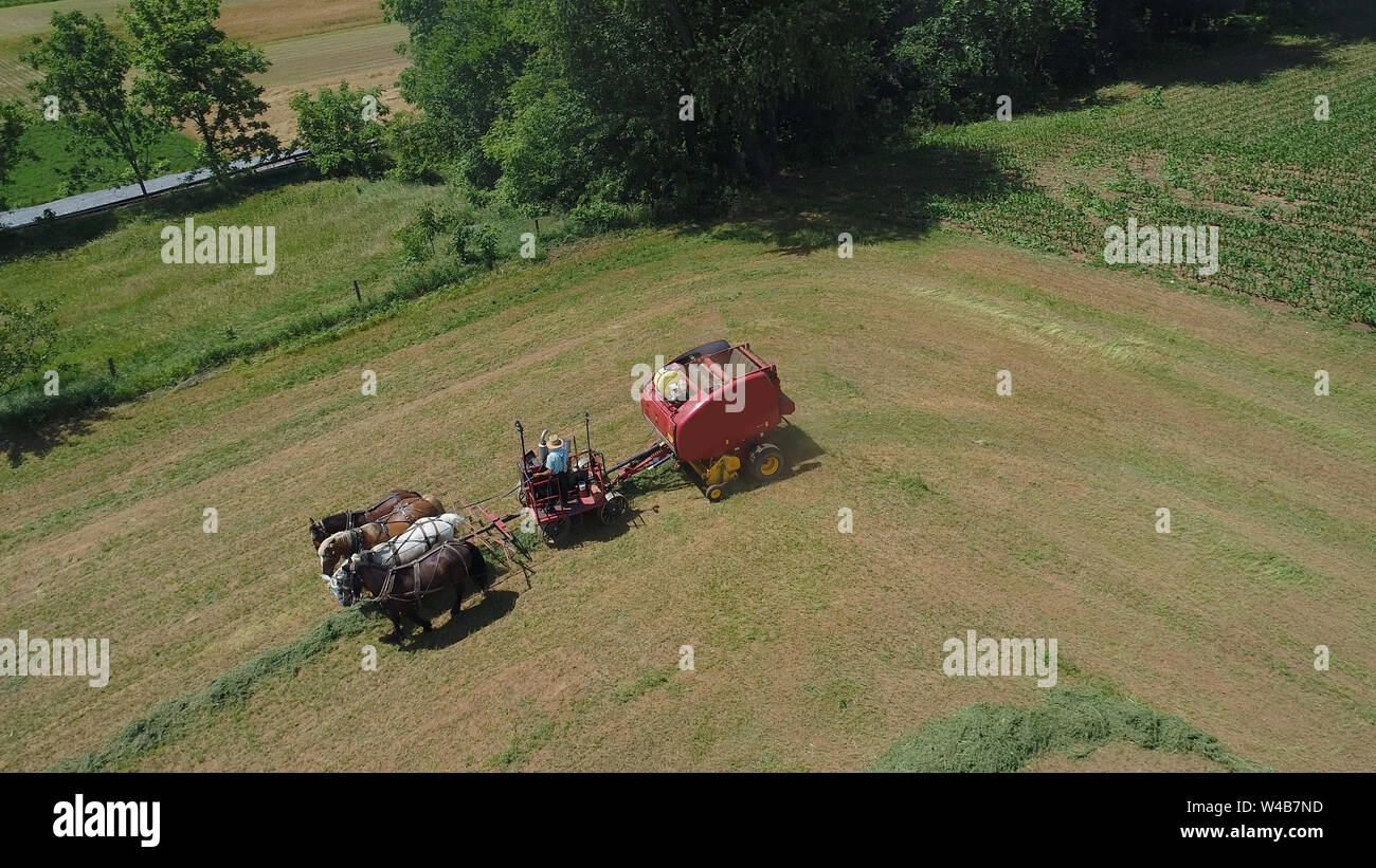 Aerial View of an Amish Farmer Harvesting His Crop with 4 Horses and ...