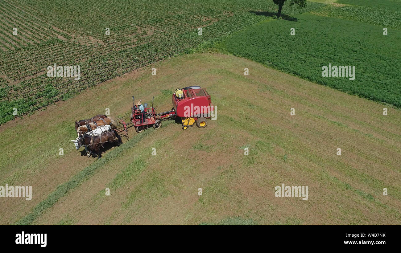 Aerial View of an Amish Farmer Harvesting His Crop with 4 Horses and ...