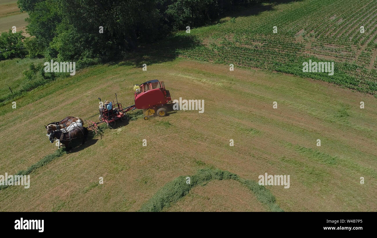 Aerial View of an Amish Farmer Harvesting His Crop with 4 Horses and ...