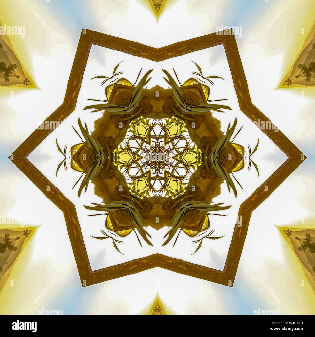 Angular hexagonal star made from the wood of a Chuppah. Geometric ...