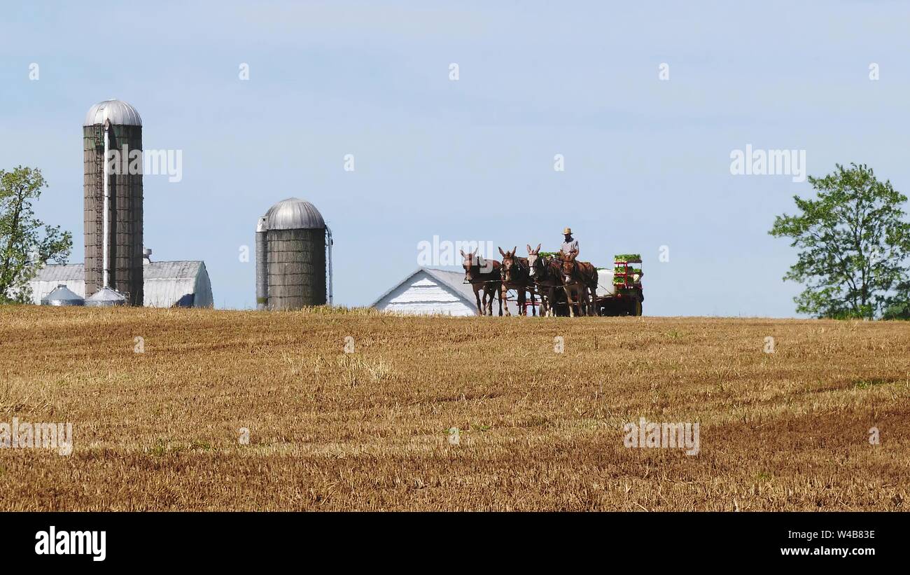 Traditional amish people hi-res stock photography and images - Alamy